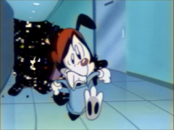 Damnit, Something's up with my Animaniacs VHS | Come and Learn with ...