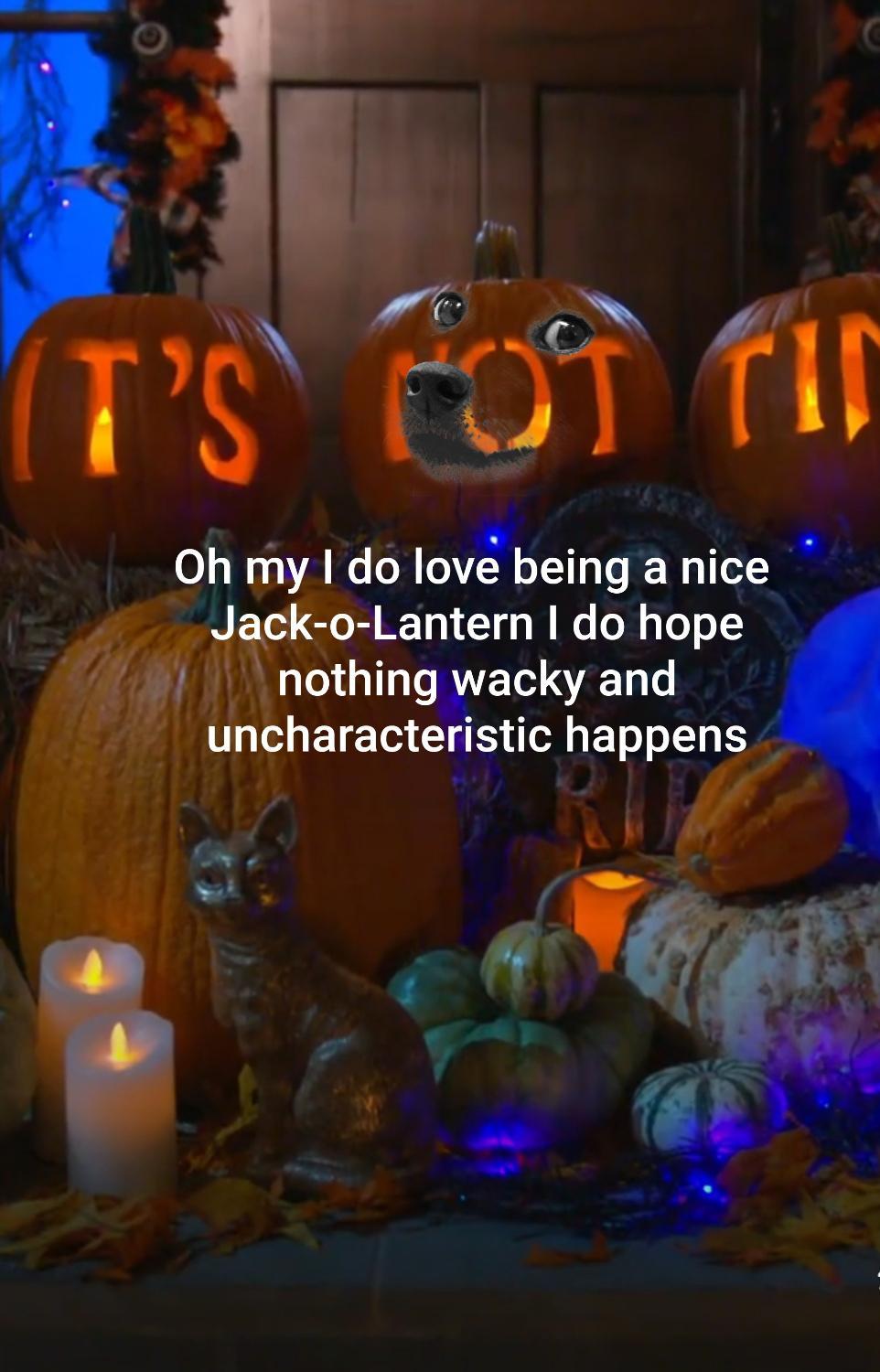 Le candy cane baseball bat has arrived. | /r/dogelore | Ironic Doge ...