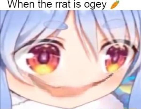 When Rat Is Ogey | Ogey Rrat | Know Your Meme