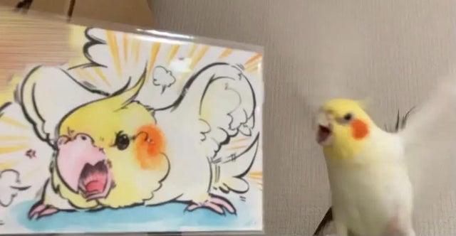 This Representation Displeases Me | Birds | Know Your Meme