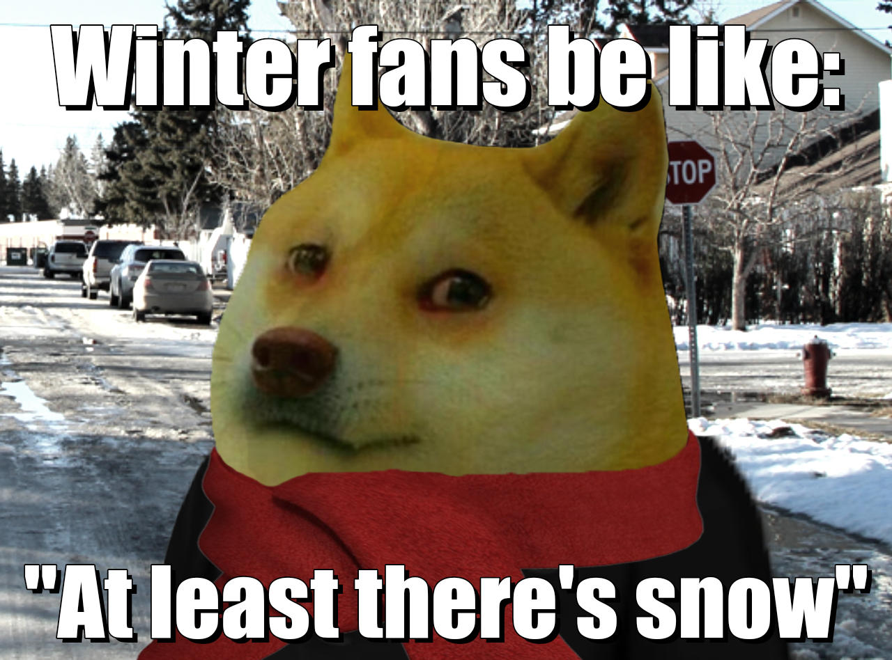 Average winter fan vs average summer enjoyer | /r/dogelore | Ironic ...