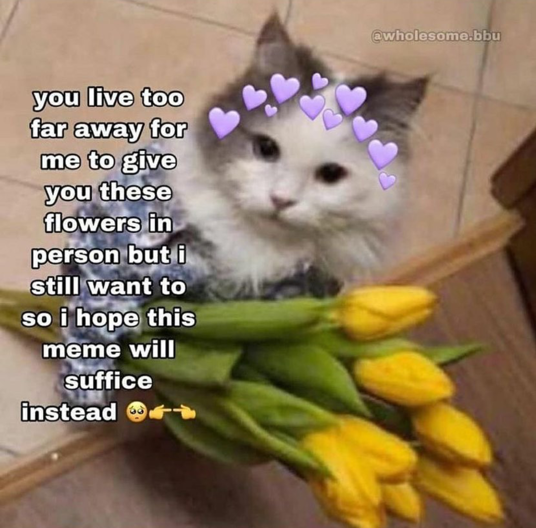 i wuv you :3 | /r/wholesomememes | Wholesome Memes | Know Your Meme