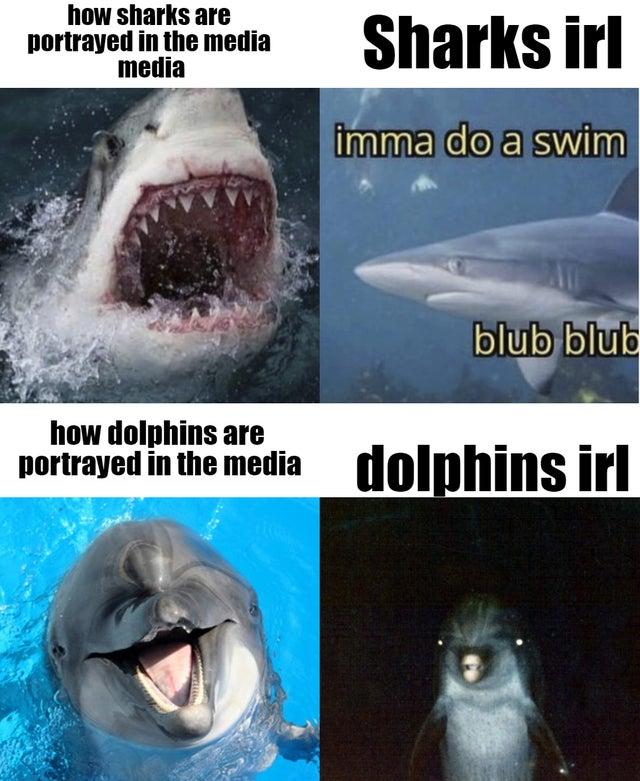 Blub Blub | /r/Memes | Know Your Meme