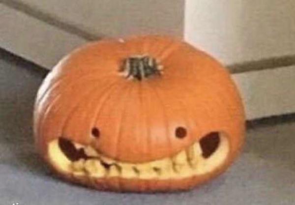 I Can't Imagine How Bad This Looks Rotten | /r/Hmmm | Know Your Meme