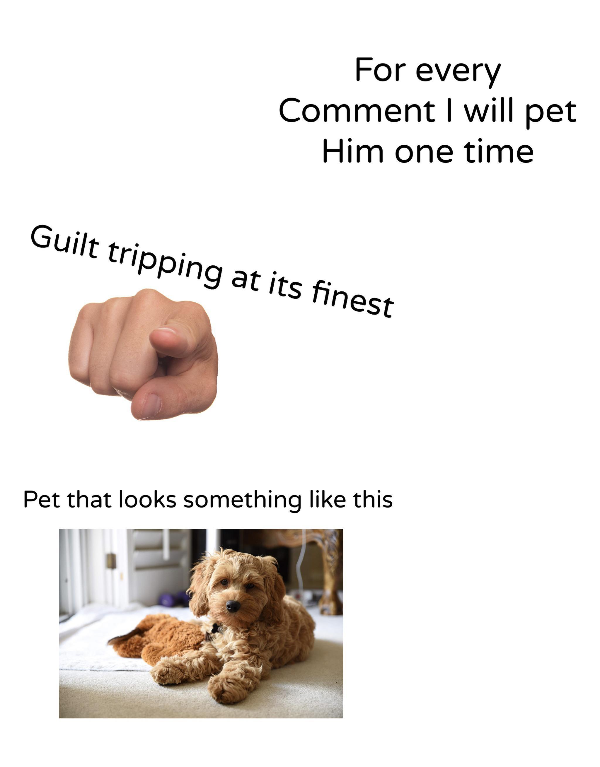 Karma chasing starter pack | /r/starterpacks | Starter Packs | Know ...