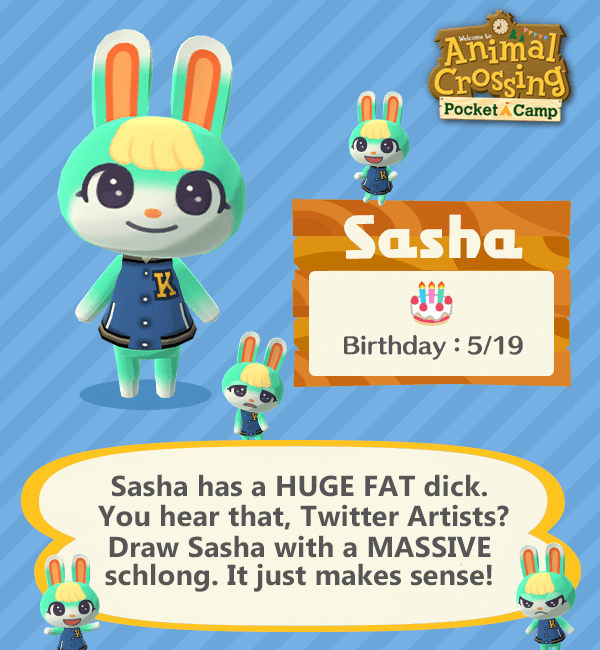 Fun facts about Sasha | Sasha (Animal Crossing) | Know Your Meme