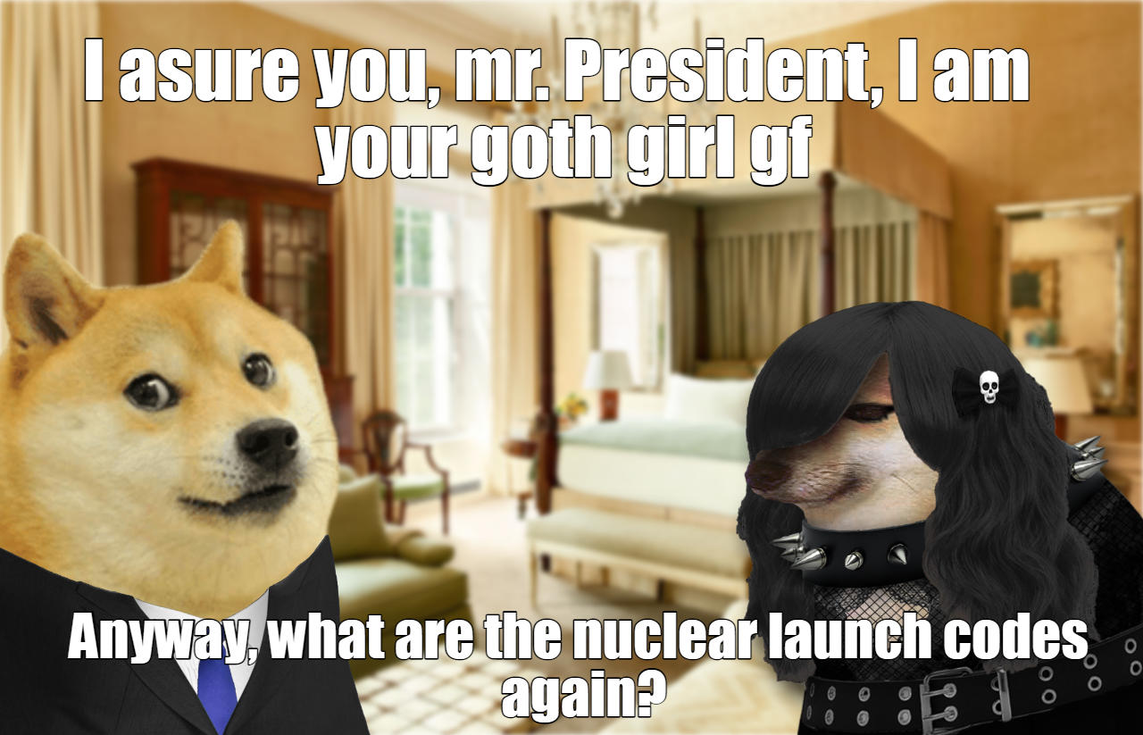 Le Cheems' newest scheme has arrived. | /r/dogelore | Ironic Doge Memes ...