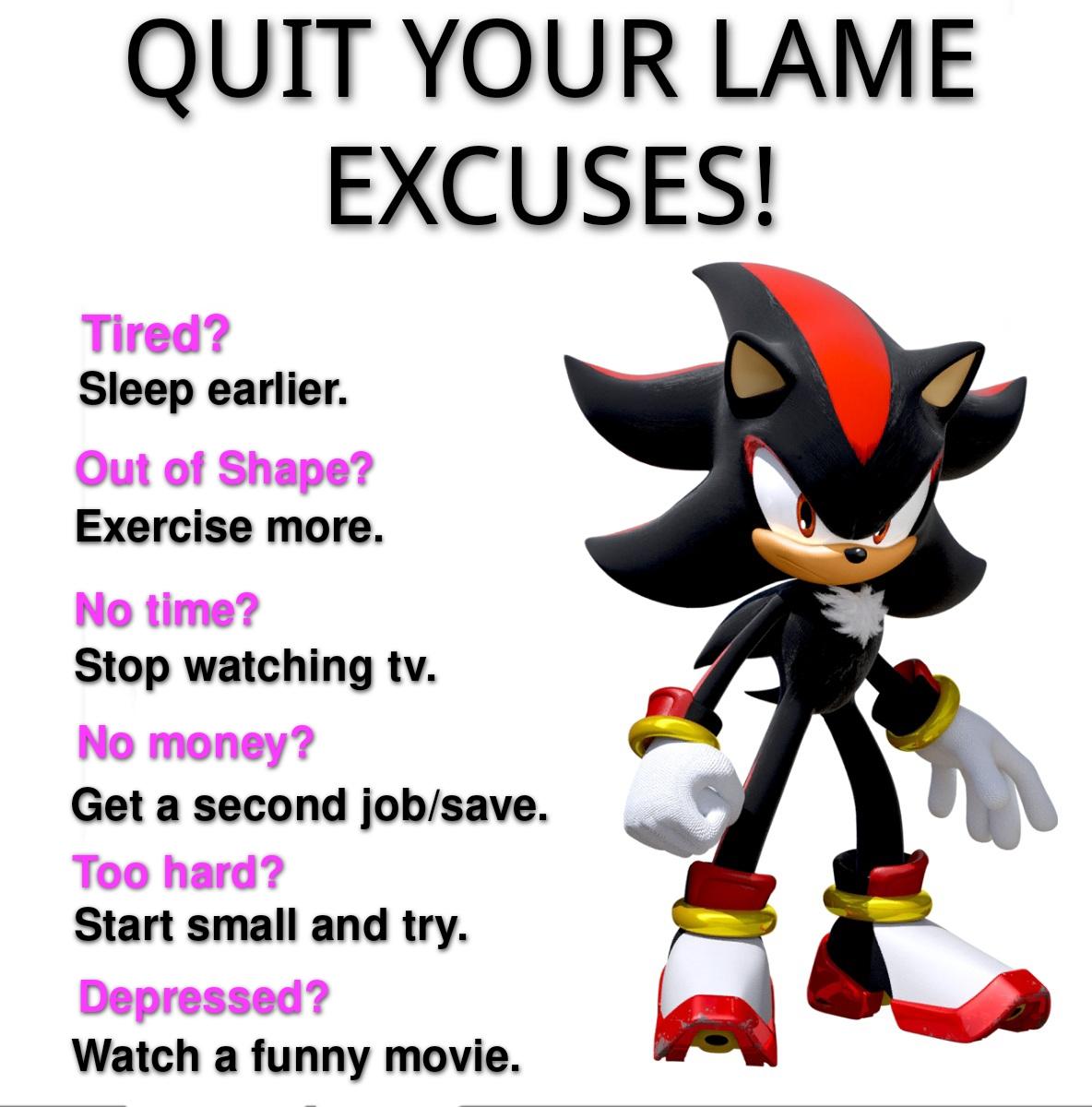 Thank you Shadow | /r/memes | Know Your Meme