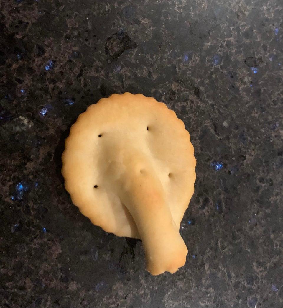 This Ritz Cracker | Mildly Interesting | Know Your Meme