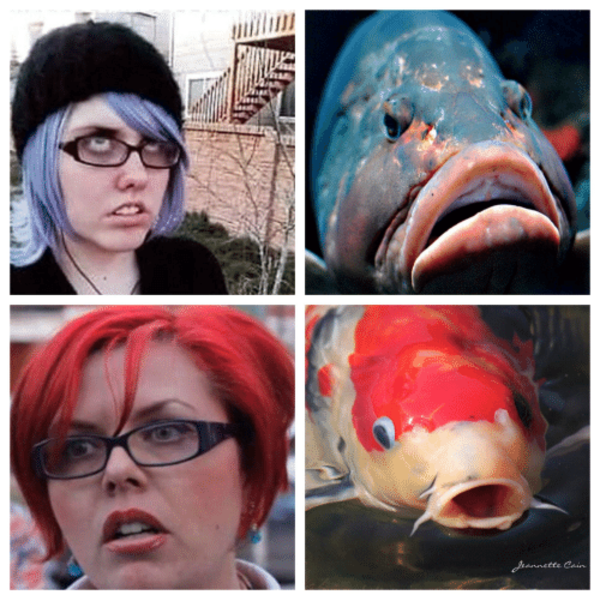 the resemblances are uncanny | Fish-Mouth Syndrome | Know Your Meme
