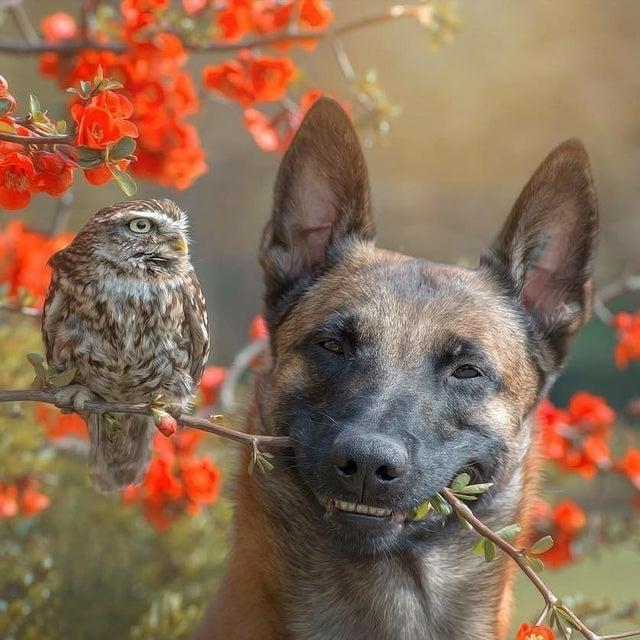 These Two Friends | Know Your Meme