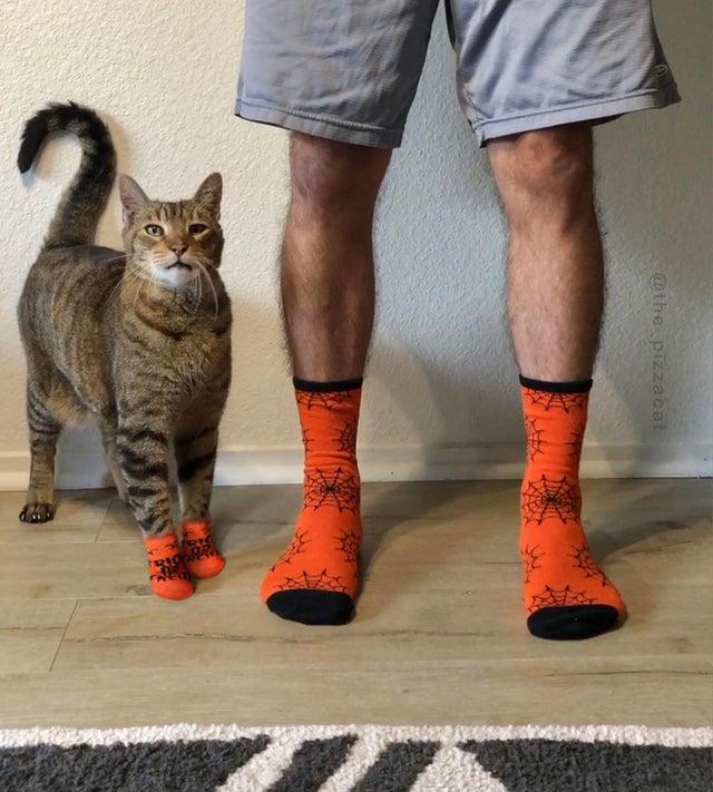 Matching Socks | Know Your Meme