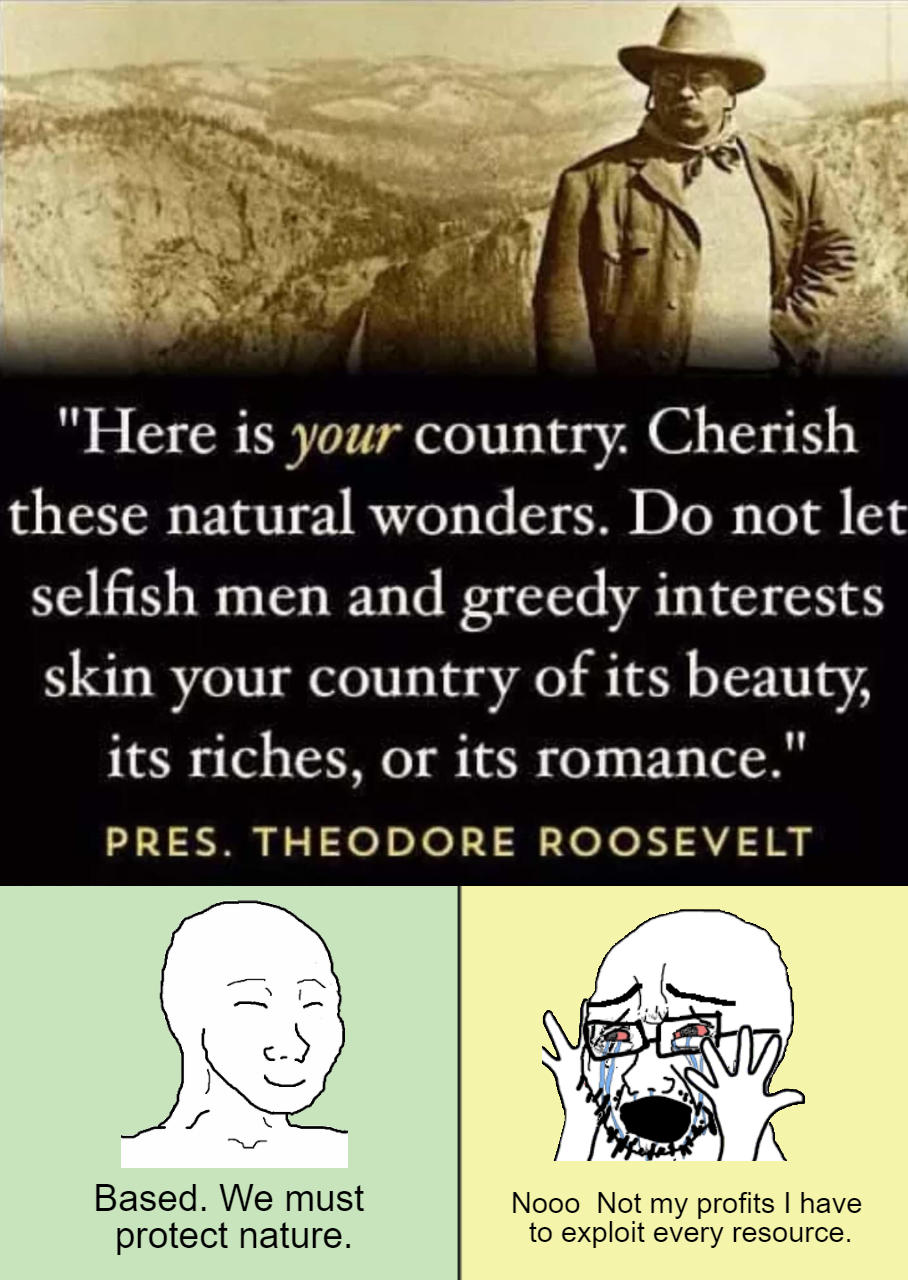 Teddy Based Roosevelt | /r/PoliticalCompassMemes | Political Compass ...