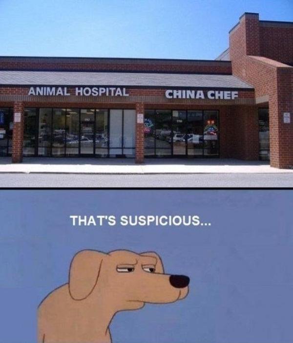 Animal Hospital China Chef suspicious | Sus Dogs | Know Your Meme