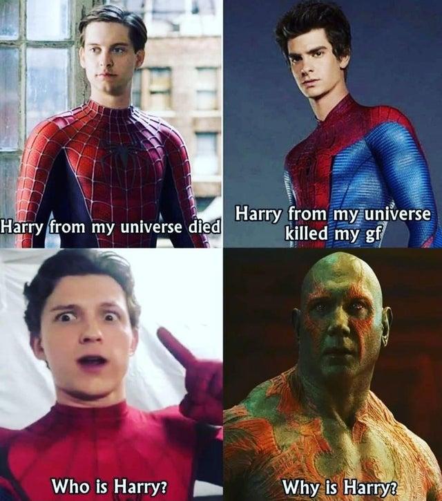 Why Harry | Know Your Meme
