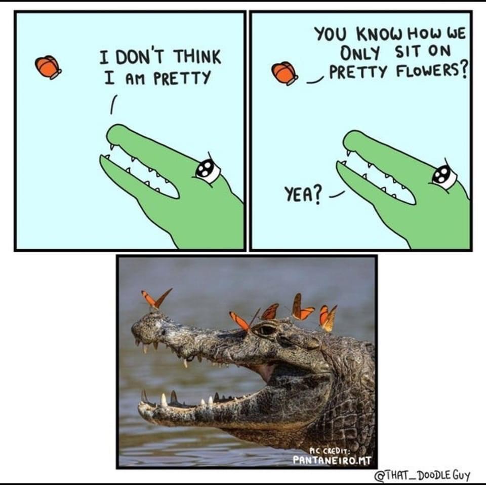 Everyone needs some reassurance. | /r/wholesomememes | Wholesome Memes ...