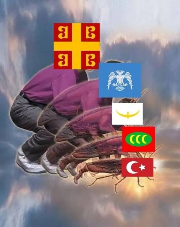 Can Turks still animorph? | /r/2balkan4you/top/ | Balkan Memes | Know ...