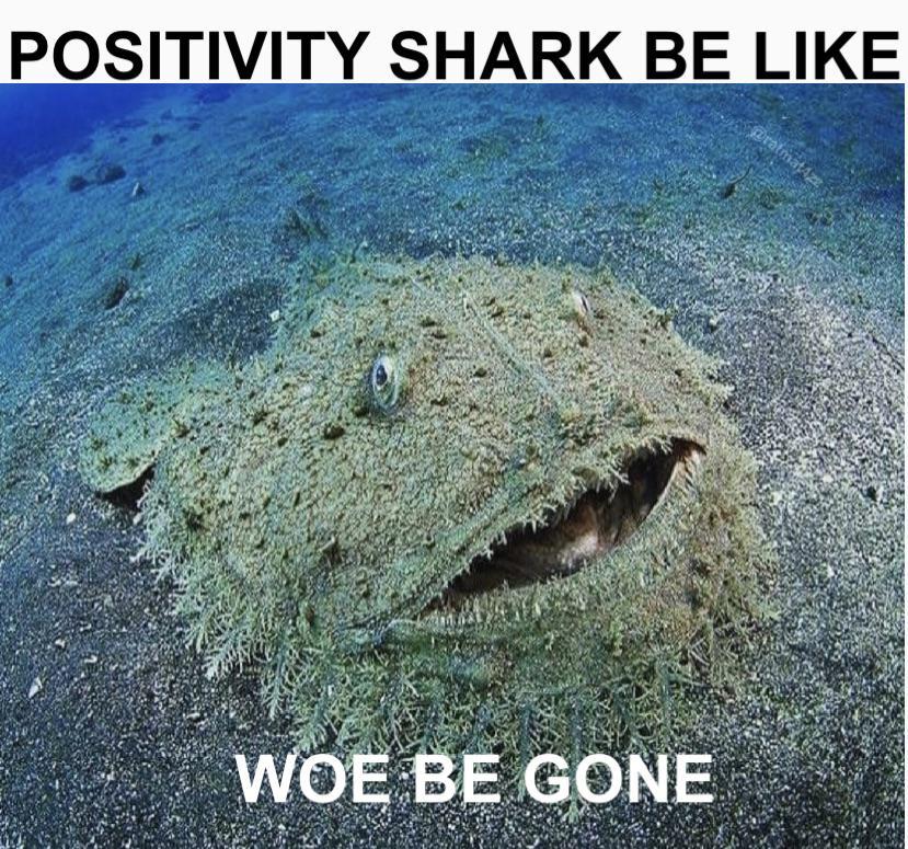 Suddenly It Appears Out of the Depths: You Have to Have a Good Day Now ...