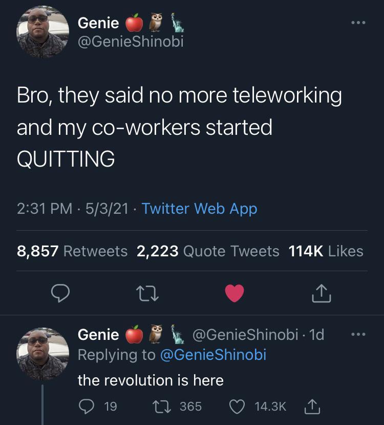 Remote revolution | Antiwork | Know Your Meme