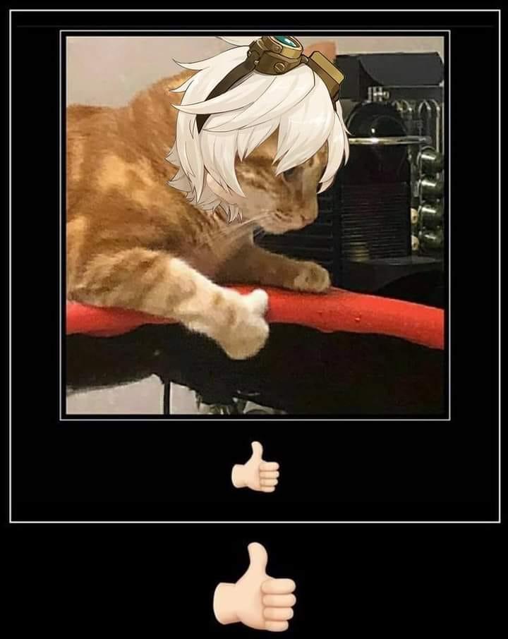 Bennett Cat 👍 | Emoji Demotivationals | Know Your Meme