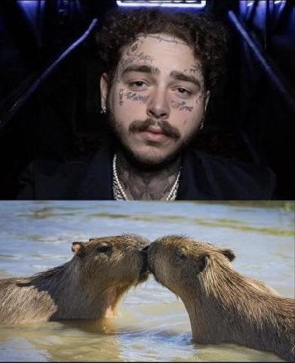 Cursed_Mustache | Blursed Images | Know Your Meme