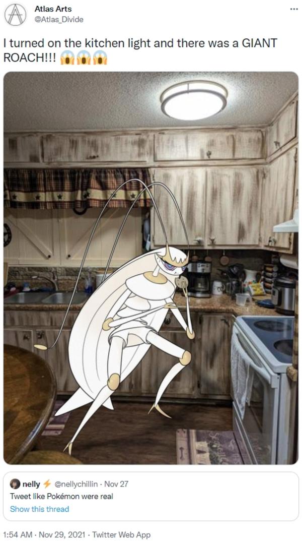 I turned on the kitchen light and there was a GIANT ROACH!!! | Tweet ...