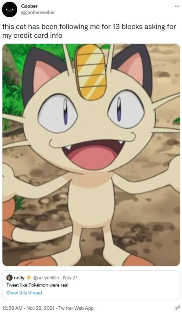 this cat has been following me for 13 blocks asking for my credit card ...