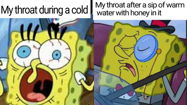 It's Magic | SpongeBob SquarePants | Know Your Meme