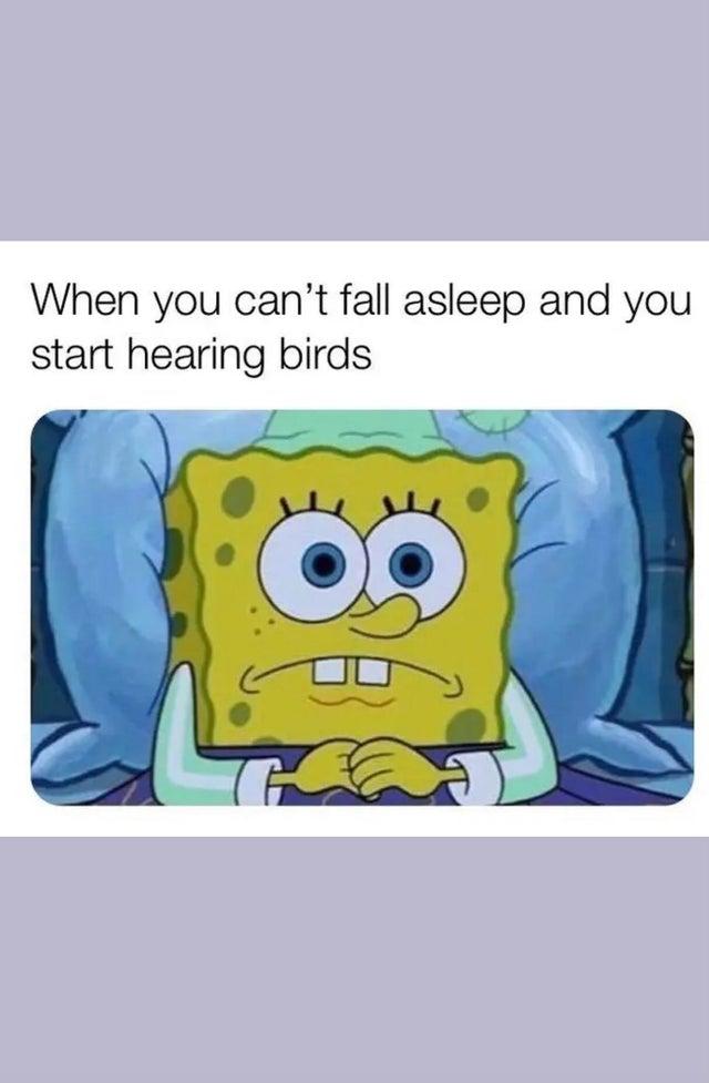 It's Too Late | SpongeBob SquarePants | Know Your Meme