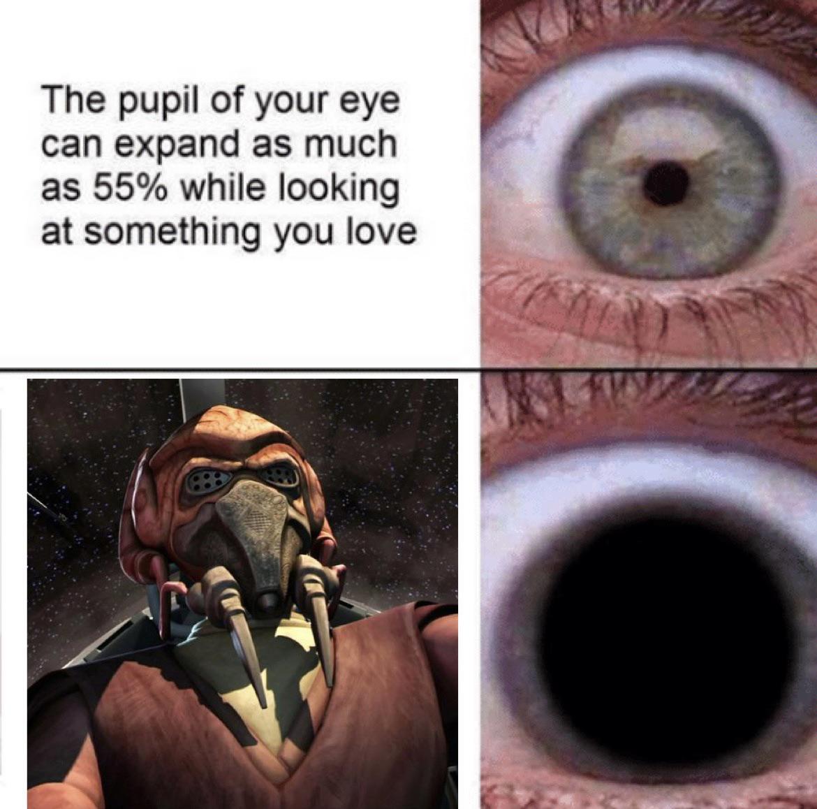 I need a pre clone wars era buddy cop show about Plo and Coleman | /r ...