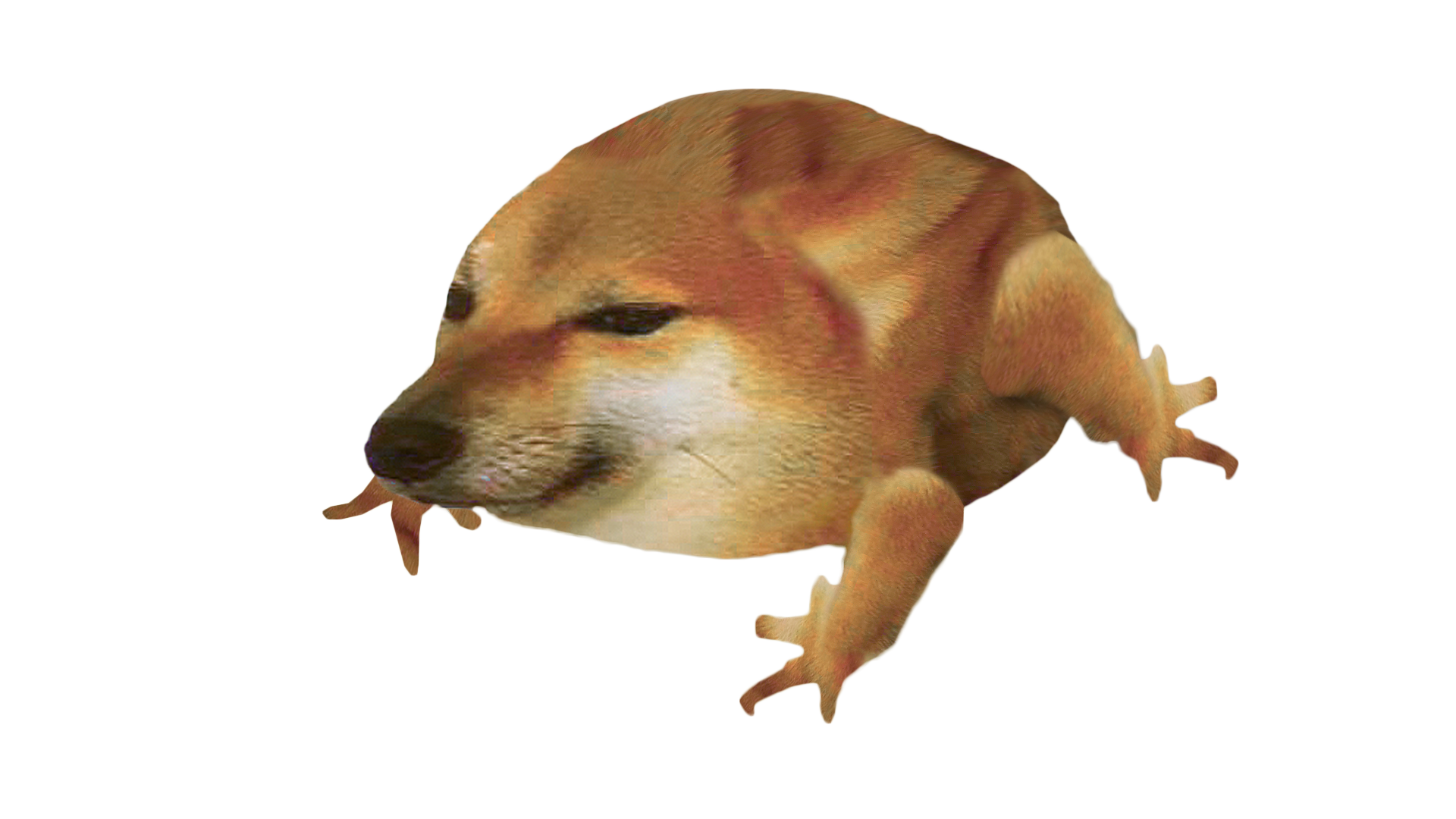 Le Cheems Froge has arrived. [Remaster Attempt] | /r/dogelore | Ironic ...