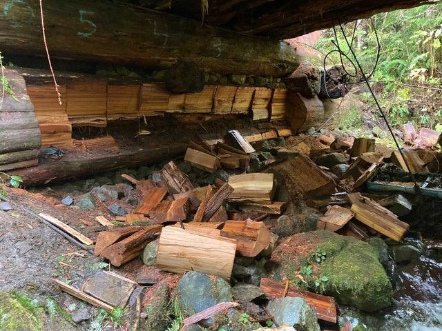 Someone Chopped Up a Cedar Bridge to Steal the Wood | Trashy | Know ...