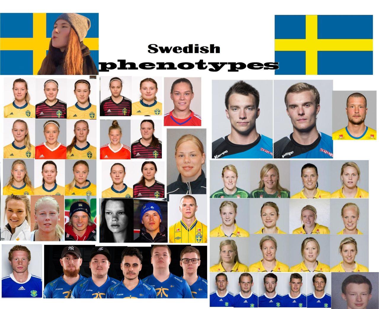 Swedish Phenotypes | Finngolia | Know Your Meme