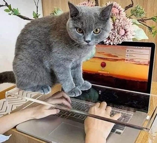 Problem Solved | Know Your Meme