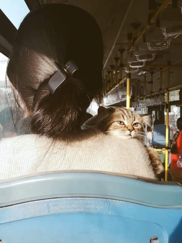 A Happy Passenger | Know Your Meme