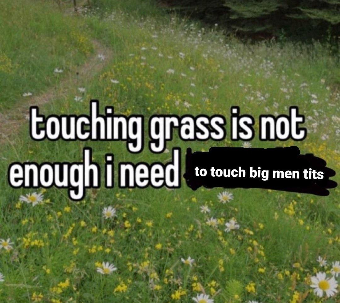 Touching Grass Is Not Enough Touching Grass Is Not Enough Know Your
