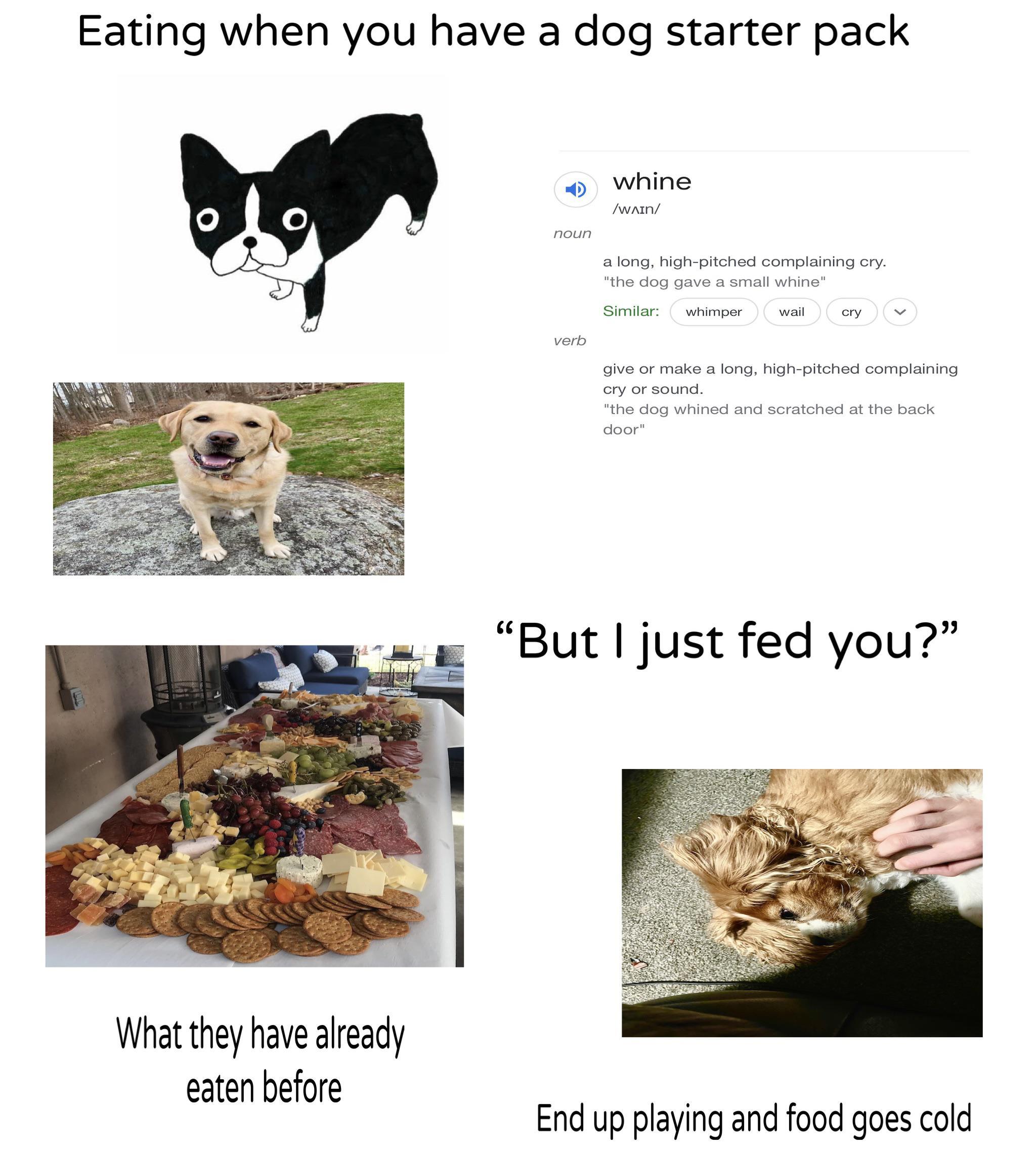 Trying to eat when you have a dog starter pack | /r/starterpacks ...