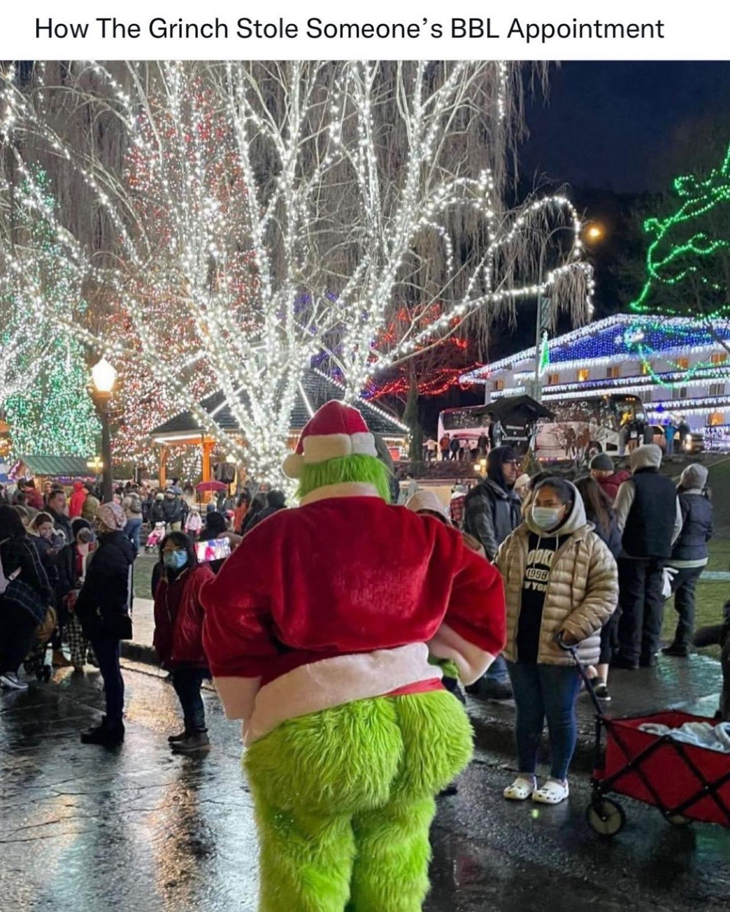 how the grinch stole someone's bbl appointment | Thicc Grinch | Know ...