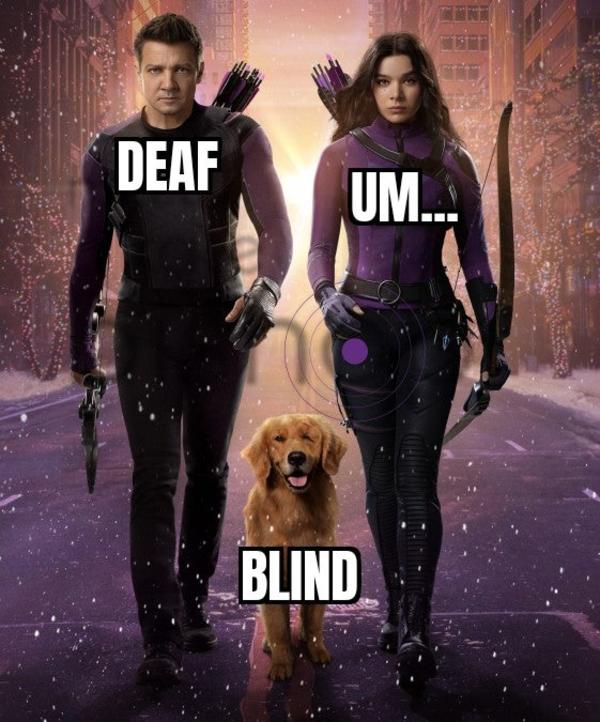 hawkeye | Hawkeye (Disney+ Series) | Know Your Meme