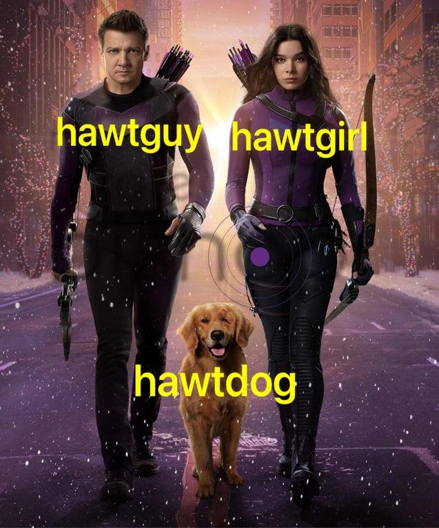 hawkeye | Hawkeye (Disney+ Series) | Know Your Meme