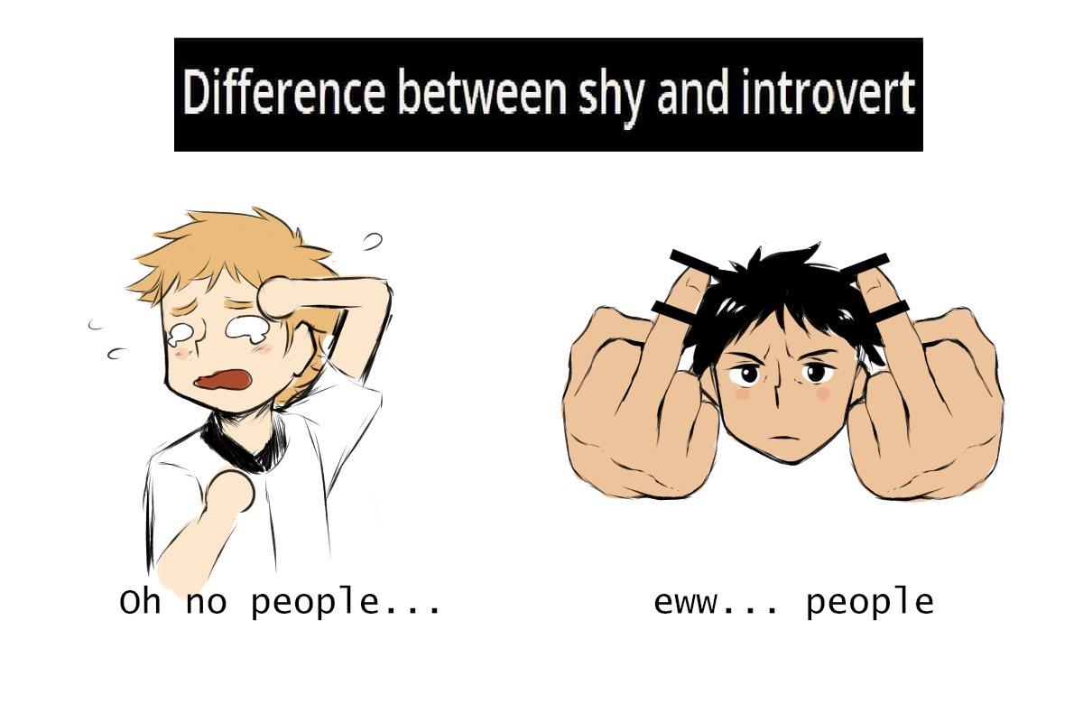 Difference Between Shy And Introvert (Big Windup!) | Difference Between ...