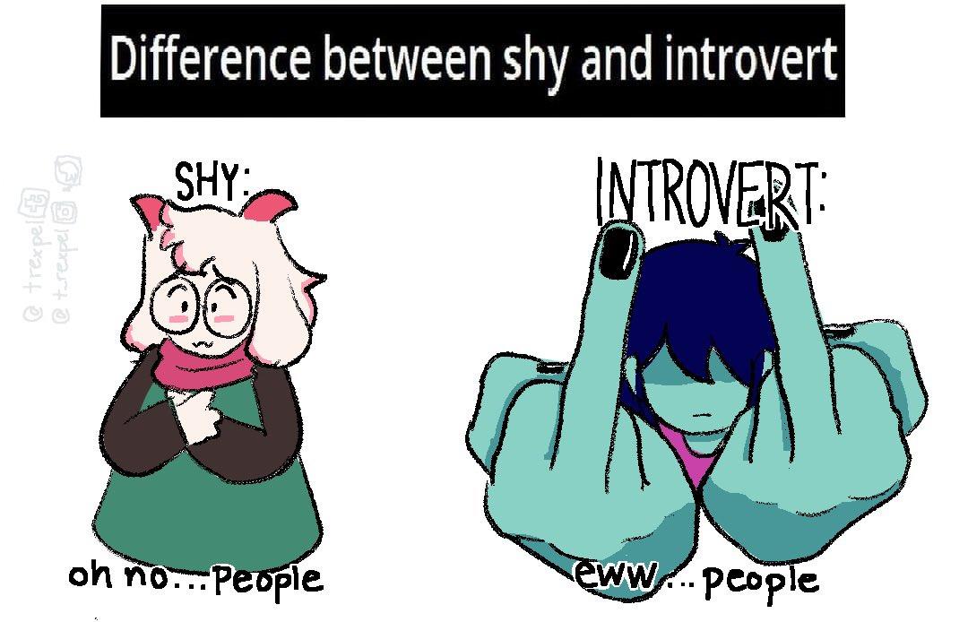 Difference Between Shy And Introvert (Ralsei / Kris) | Difference ...