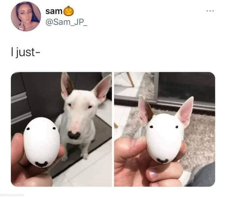 Dream's Mask | Dogs | Know Your Meme
