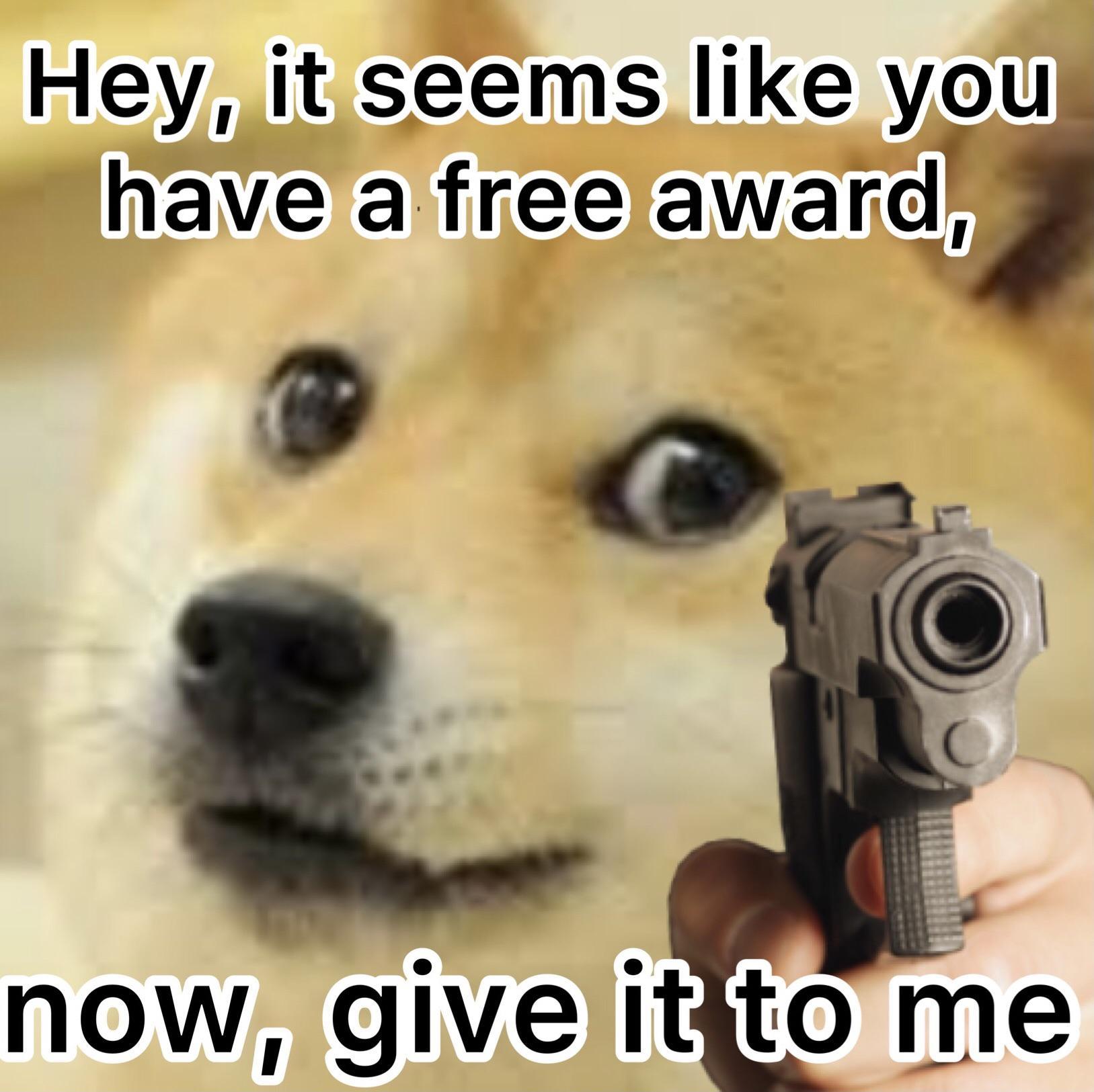 Le award rober has arrived | /r/dogelore | Ironic Doge Memes | Know ...