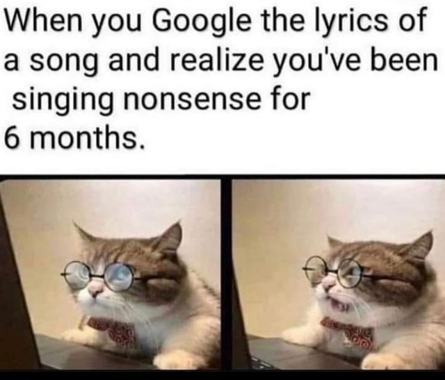 I've Failed | Cats | Know Your Meme