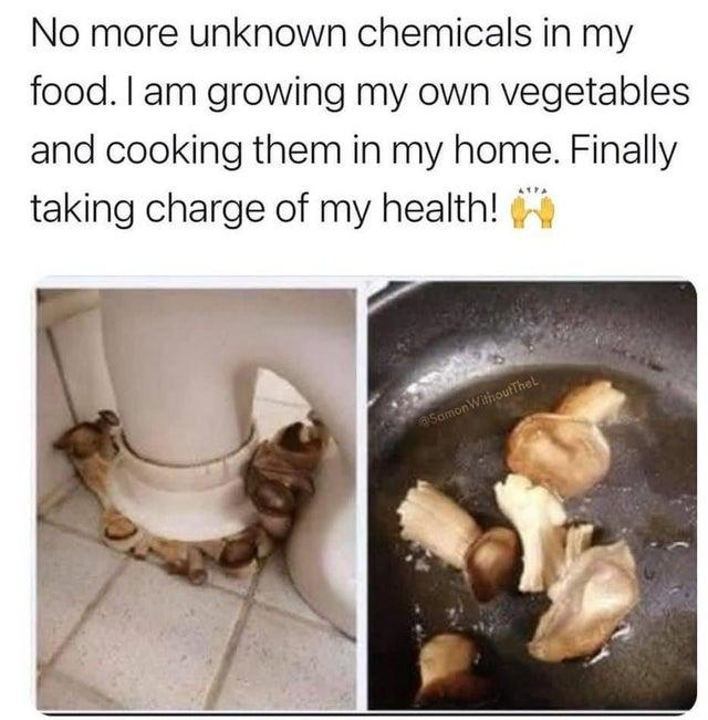 Growing Your Own Vegetables | Thanks, I Hate It | Know Your Meme
