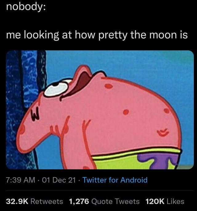 Star Gazing | SpongeBob SquarePants | Know Your Meme