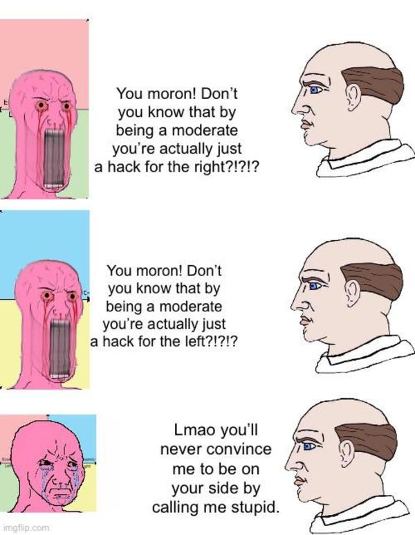 Centrist Chad. | /r/PoliticalCompassMemes | Political Compass | Know ...
