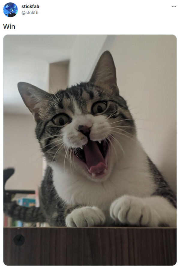 Win | ah! so sorry! | Know Your Meme