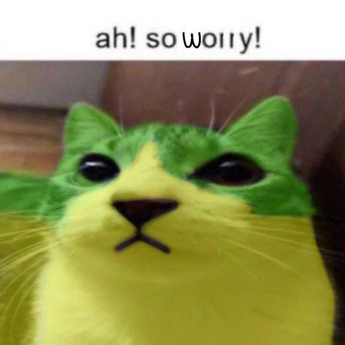 ah! so wolly! | ah! so sorry! | Know Your Meme